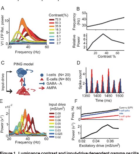 Figure 1 From Input Dependent Frequency Modulation Of Cortical Gamma