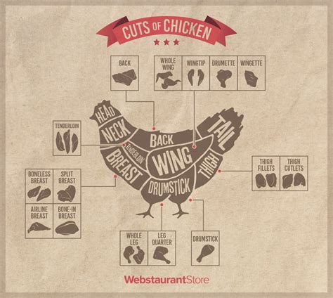 Anatomy Of The Chicken 1080x1080