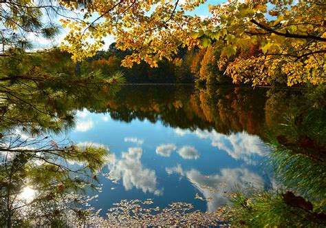 Thousand Trails Oaks At Point South Rv Resorts In South Carolina