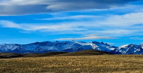 Amplify Microbiome Practice Test Questions By Michael Thomas Tpt