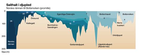 Deep Dive The Inflows That Shape The Baltic Sea Balticwaters