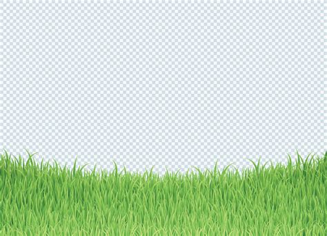 Simple Green Grass Bottom Edge Border Background 2223624 Vector Art At
