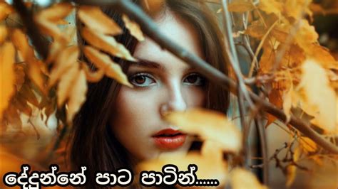 දේදුන්නේ පාට පාටින් Youtube