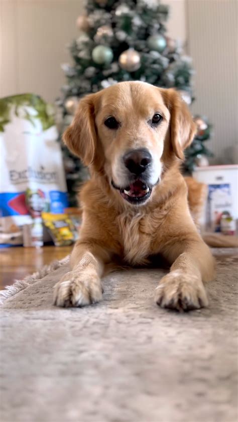 Edina Musa ЖКК РАБОТНИЧКИ Полуфинален натпревар М12 2024 Instagram