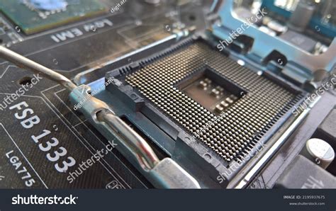 Empty Processor Socket On Desktop Computer Stock Photo Shutterstock