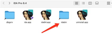 Ida Pro Mcp 逆向分析