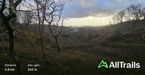 Maentwrog Woods 50 Peaks View Circular Gwynedd Wales 17 Reviews