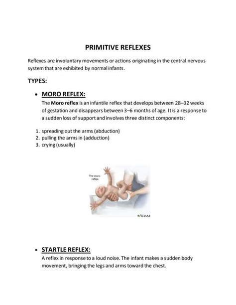 Primitive And Tonic Reflexes Pptx