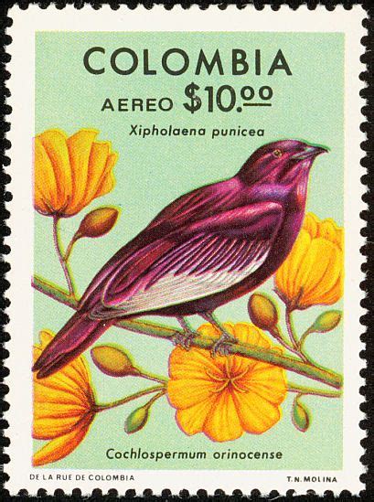 A Joe Petrucce Petrucce Profile Pinterest