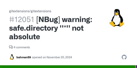 NBug Warning Safe Directory Not Absolute Issue 12051 Gitextensions Gitextensions
