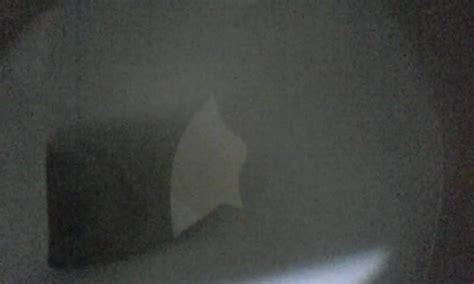 Brown Specimens Sample ThisVid
