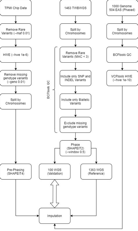 Comparison Of Multiple Imputation Algorithms And Verification Using Whole Genome Sequencing In