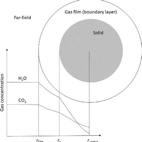 Concentration Profiles In And Around A Reactive Particle In An Ambient