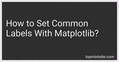 How To Set Common Labels With Matplotlib In