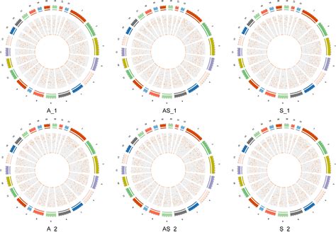 Comprehensive Profile And Contrastive Analysis Of Circular RNA Expression In Cervical Squamous