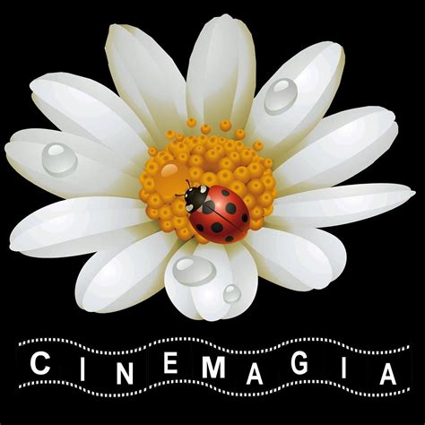 ბრძოლა ბერი გაბრიელი ფილმი