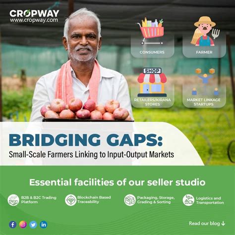 cropway empowering small scale farmers linking inputs to output