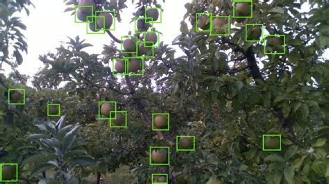 an example of using the mask r cnn based algorithm for detecting gala