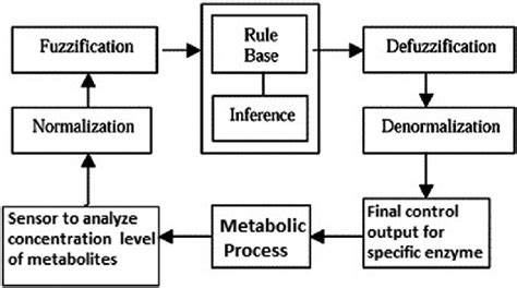 Architecture Of Mamdani Type Fuzzy Logic Controller For Metabolic Download Scientific Diagram