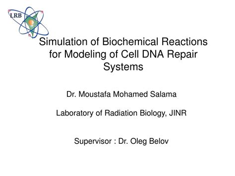 Ppt Simulation Of Biochemical Reactions For Modeling Of Cell Dna Repair Systems Powerpoint