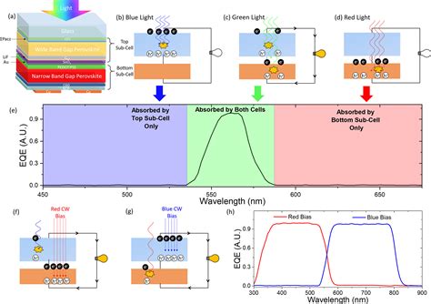 Tunable Multiband Halide Perovskite Tandem Photodetectors With Switchable Response Acs Photonics