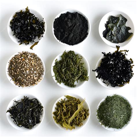 Assortment Of Different Types Of Seaweed In White Bowls Premium Ai