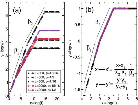 Color Online Typical Time Evolution Of The Interface Width Wt In A