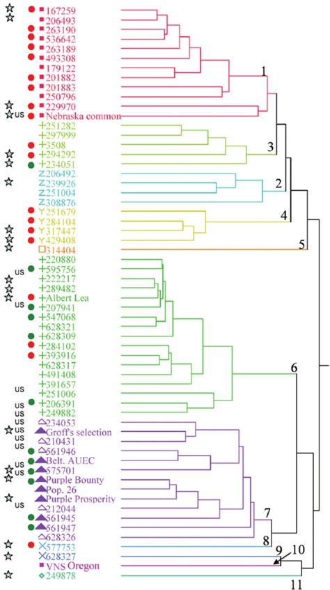 hierarchical clustering of worldwide vicia villosa accessions based on