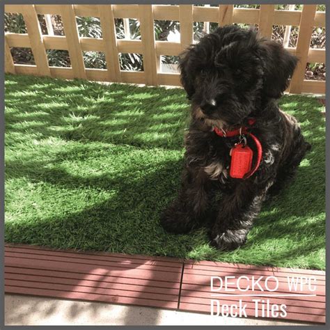 Decko Premium Tiles Grass One Piece — Decko Usa Secler Usa Llc