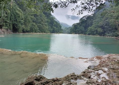 Pozas De Semuc Champey Comienzan A Recobrar Su Color Agencia