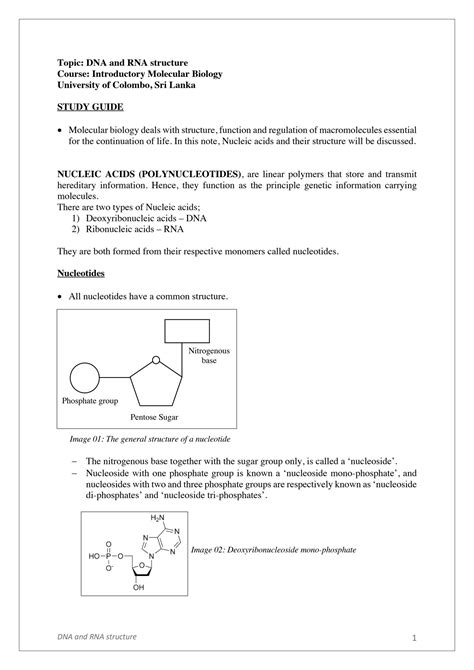 SOLUTION Dna And Rna Structure Studypool