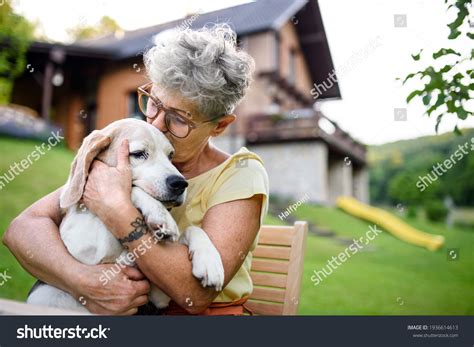 Old Woman With Dog Photos Images And Pictures Shutterstock