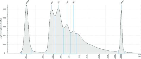 An Example Of A Good Atac Seq Library Pattern Download Scientific Diagram