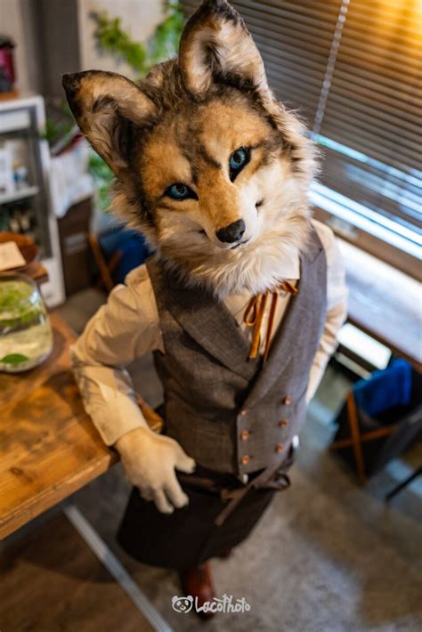 Fursuit Furry Fandoms Funny Posts Pictures And Gifs On Joyreactor