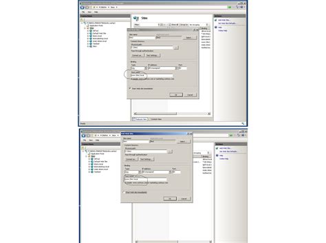 How To Have Multiple Web Site With One Url Stack Overflow