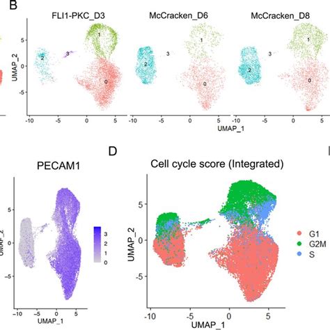 Heatmap Of Transcription Factors Expression Level According To