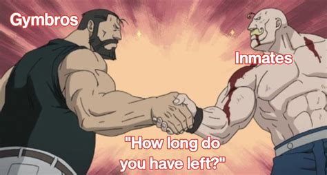 💀 R Gymmemes