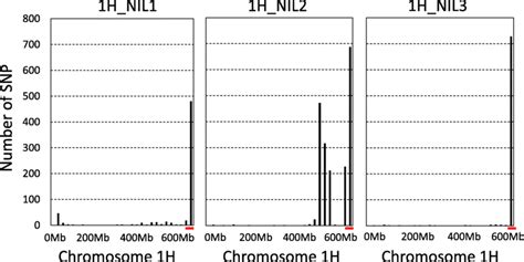 Distribution Of Snps In The Expressed Genes Along Chromosome 1h In