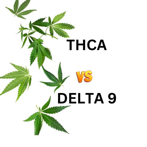 Thca Vs Delta 9 Derived From Hemp Illuminati Glass