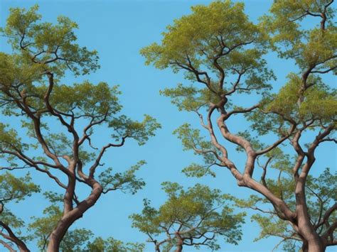 Premium Ai Image A Tree In Middle With Gradient Background