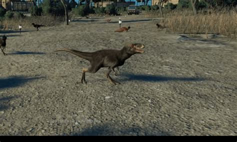 The First Look A Moros In Game Definitely Smaller Than I Thought R