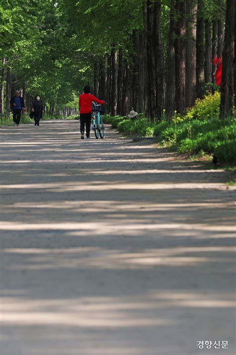 다시 포근한 봄 날씨…내일도 따뜻해요 [정동길 옆 사진관]