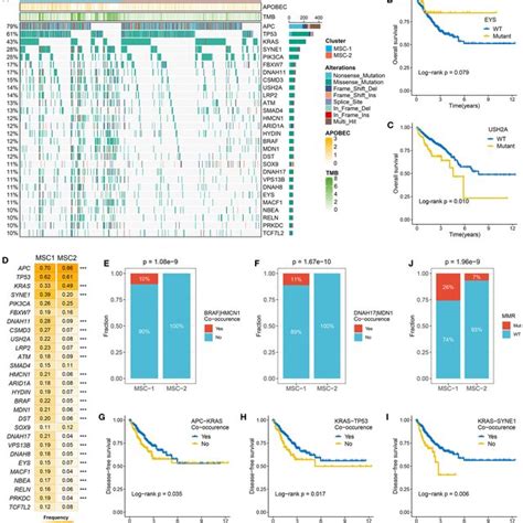 The Mutation Driven Genes In Colorectal Cancer Crc A Mutational Download Scientific