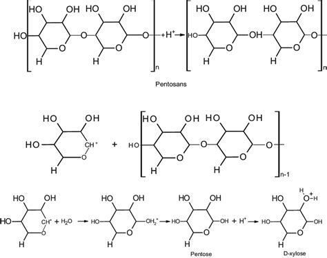 3 Depolymerization And Acid Hydrolysis Of Pentosans In Biomass To Download Scientific Diagram