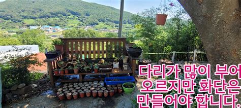 윤길 주의 약속은 어떤이의 더디다고 생각하는 것 같이 더딘 것이 아니라 오직 너희를 대하여 오래 참으사 아무도 멸망치 않고