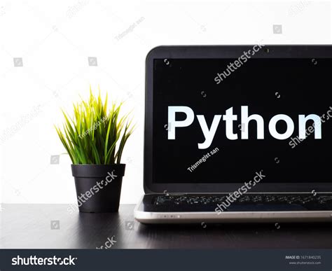 Python Programming Language Programming Training Concept Stock Photo Shutterstock