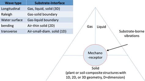 1 Effects Of Substrate Structure And Geometry On The Types Of Download Scientific Diagram
