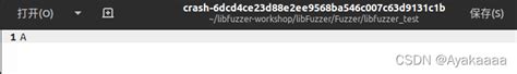 libfuzzer从入门到放弃（一） libfuzzer安装 csdn博客
