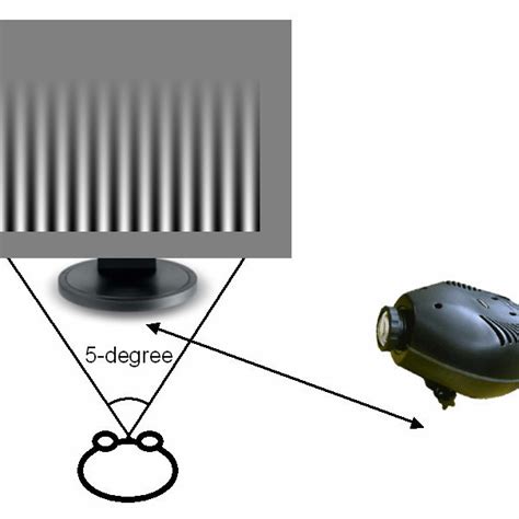 A Example Of A Sinusoidal Pattern And B Experimental Geometry