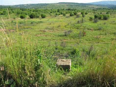 Translated Articles Photogrammetry And Gis